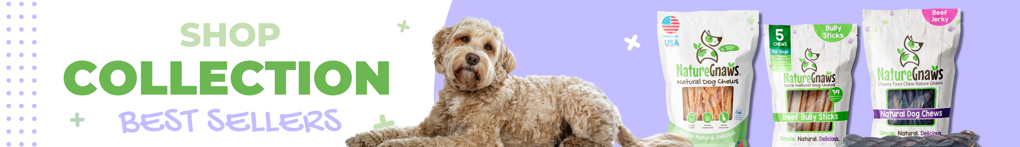 100% Natural Dog Chews and Treats | Nature Gnaws – NatureGnaws.com