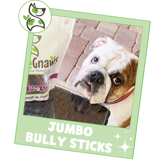 6" Jumbo Bully Sticks | Natural Dog Chew Treats | Nature Gnaws | 3 ...