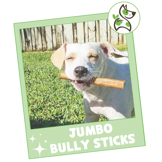 6" Jumbo Bully Sticks | Natural Dog Chew Treats | Nature Gnaws | 3 ...
