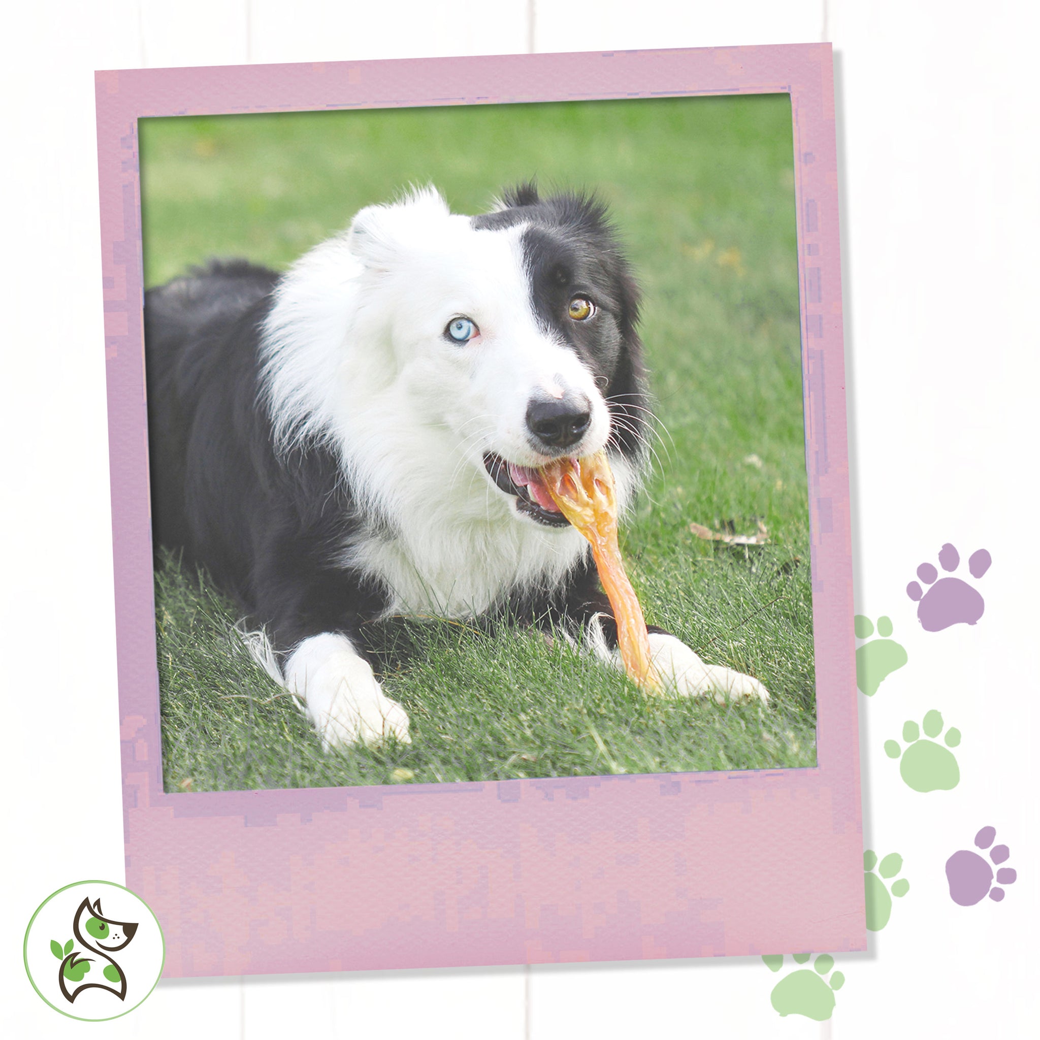 7-11" Beef Paddywack Tendons for Dogs | Natural Dog Chew Treats ...